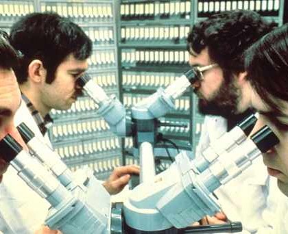 Subjective vs. Objective: What's the Difference? - Curiosity Aroused